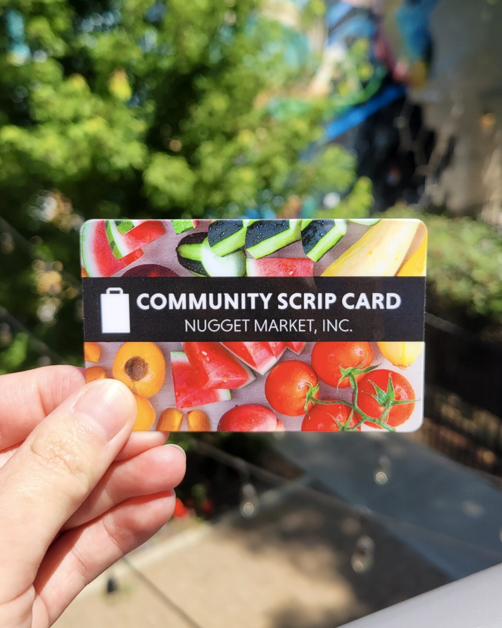 NUGGET SCRIP CARD – Pence Gallery